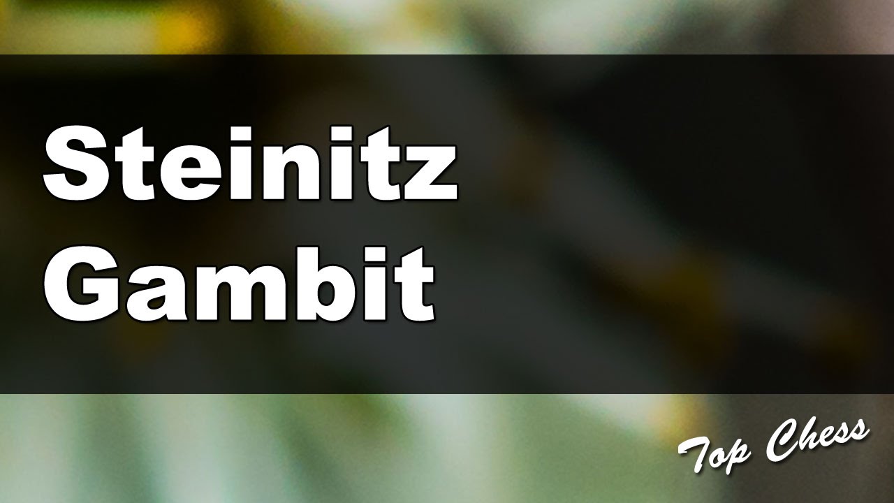 Chess Online - Vienna, Steinitz gambit, Zukertort defence - YouTube