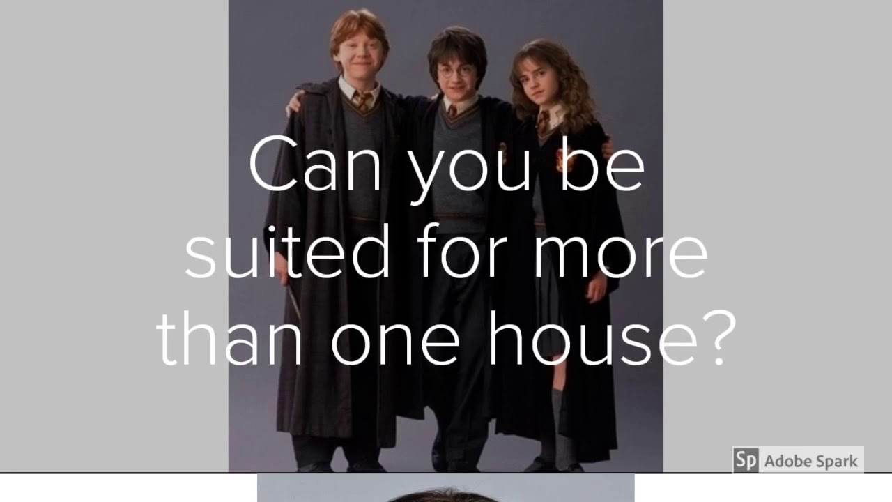 Can you be suited for more than one house ( Harry Potter video) - YouTube