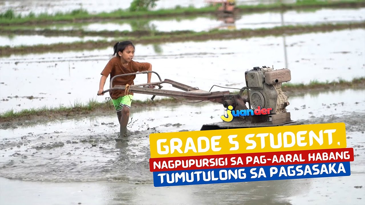 Grade 5 student, nagpupursigi sa pag-aaral habang tumutulong sa ...