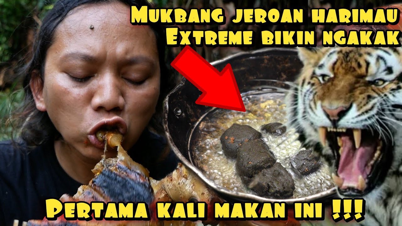 DEDE INOEN MAKAN K0T0R4N HARIMAU BENGGALA BIKIN M4BOK - YouTube