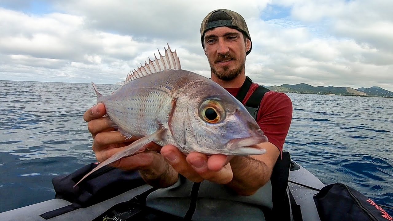 PRUEBA DEFINITIVA a la NUEVA SOLPARA pescando DESDE PATO | VideoBlog ...