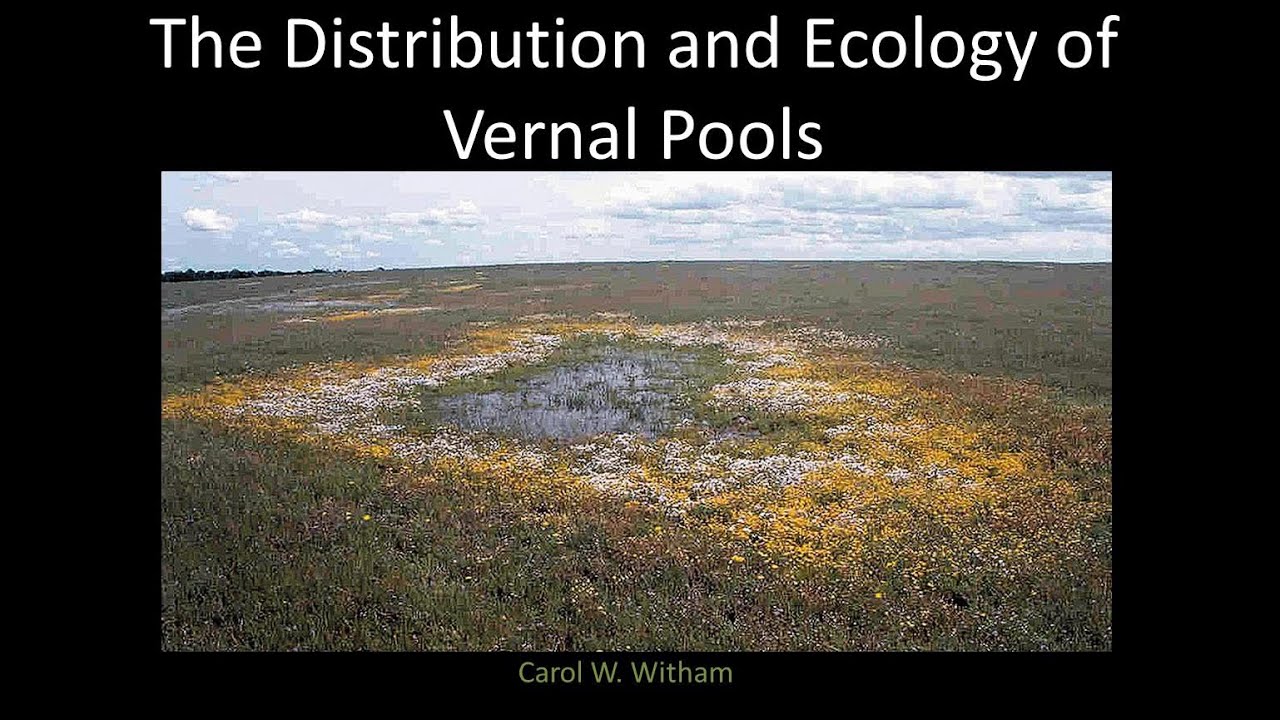 The Distribution and Ecology of Vernal Pools - YouTube