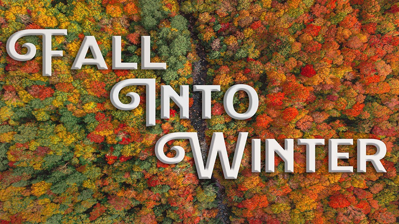 Fall Into Winter - YouTube