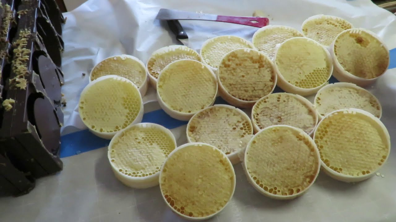 HARVESTING ROSS ROUNDS COMB HONEY - YouTube