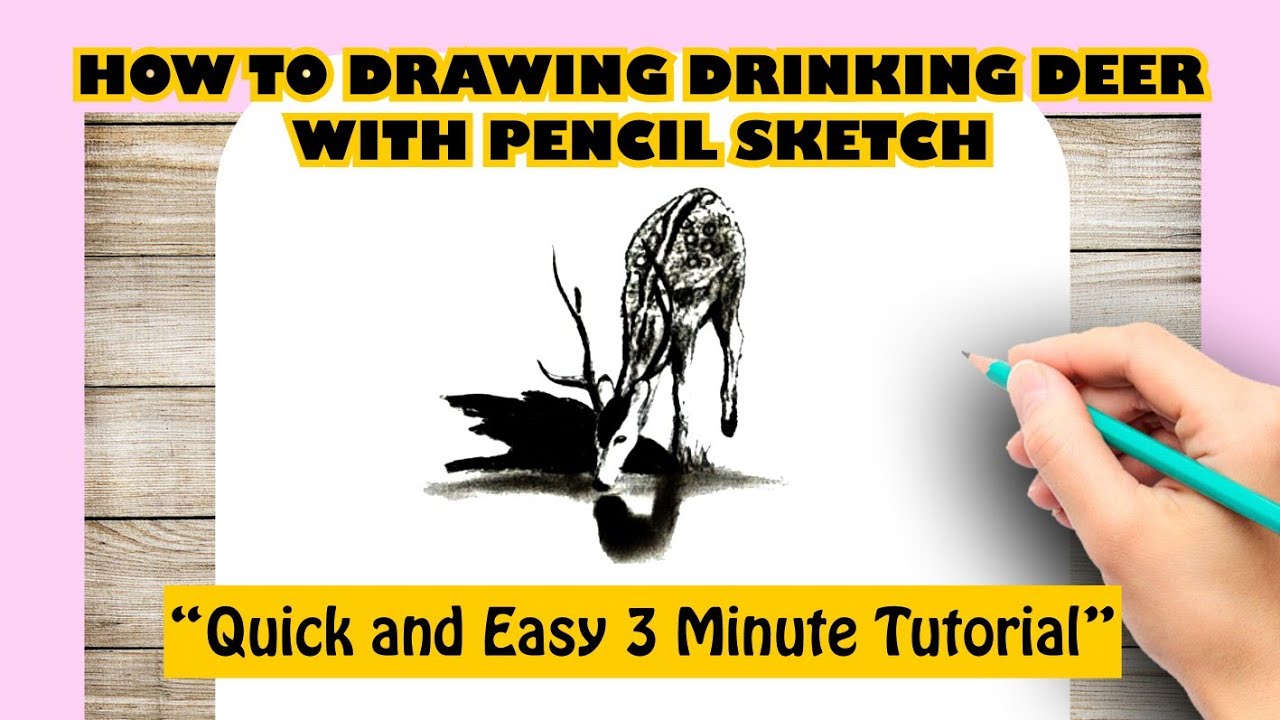 HOW TO DRAWING DRINKING DEER WITH PENCIL SKETCH - YouTube