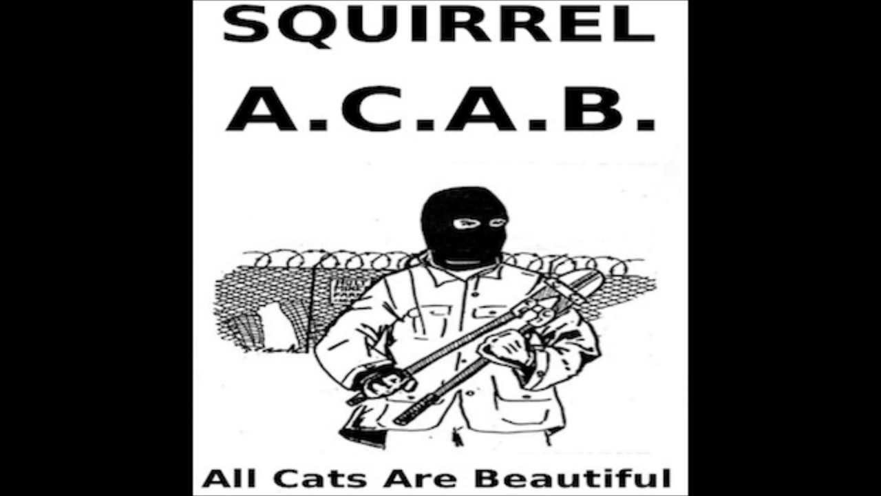 Squirrel - ALF (Animal Liberation Front) - YouTube