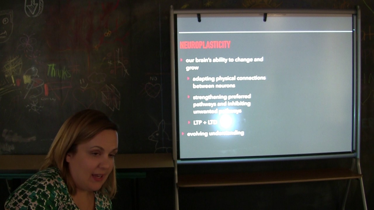 Stanford Synapse Presents: Dr Jennifer O'Malley - YouTube