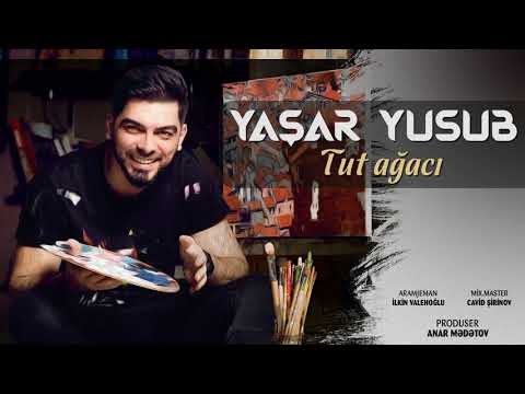Yaşar Yusub — Tut Ağacı | 2018