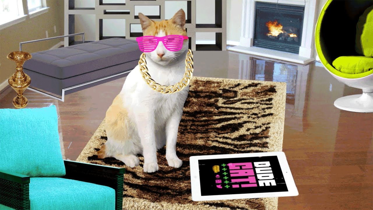 DUDE CAT! (Official trailer) - YouTube