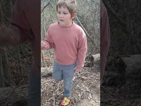 why everett? - YouTube