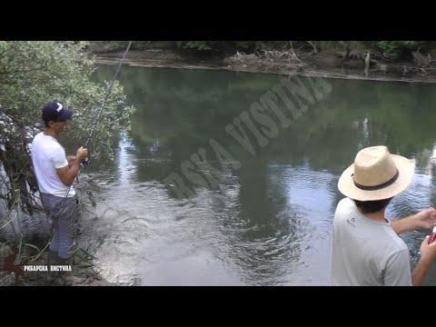 Ribolov na bojnik, skobust, skobal Crn Drim Struga Ribarska Vistina 2 ...