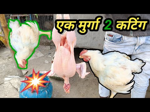 बॉयलर एक मुर्गा कटिंग स्किल। boiler ak murga cutting skills 🐓🙏 - YouTube