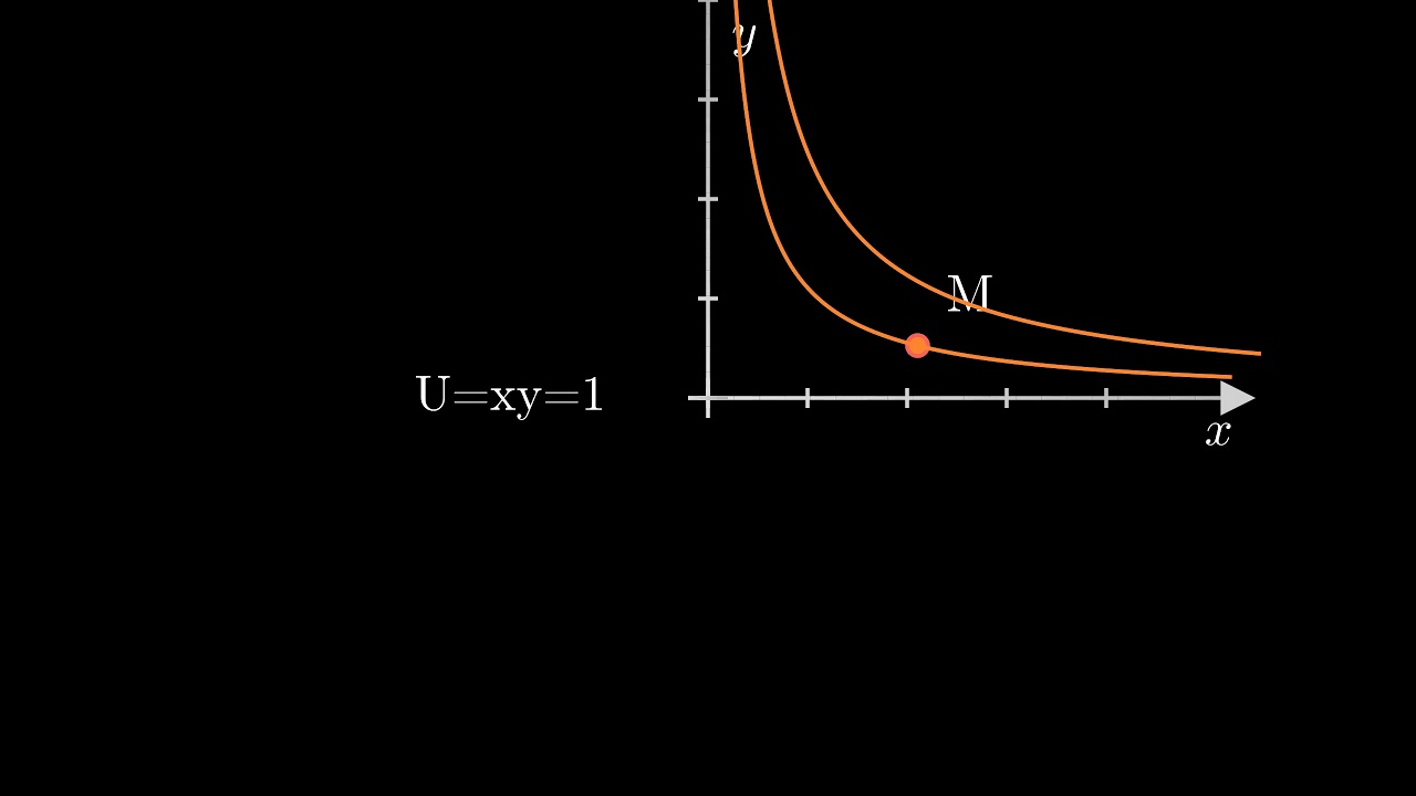 Indifferent Curve Explained in seconds! - YouTube