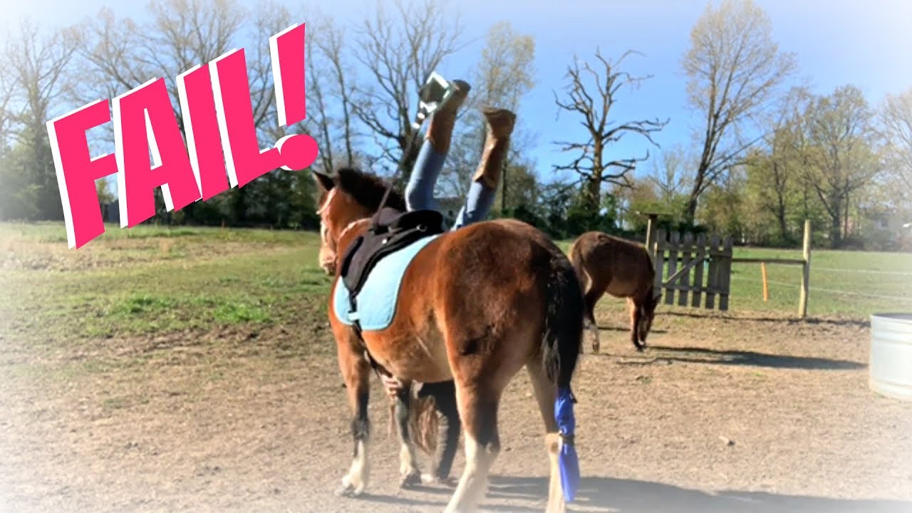 EQUESTRIAN FAILS AND FALLS! SUBSCRIBER EDITION! - YouTube