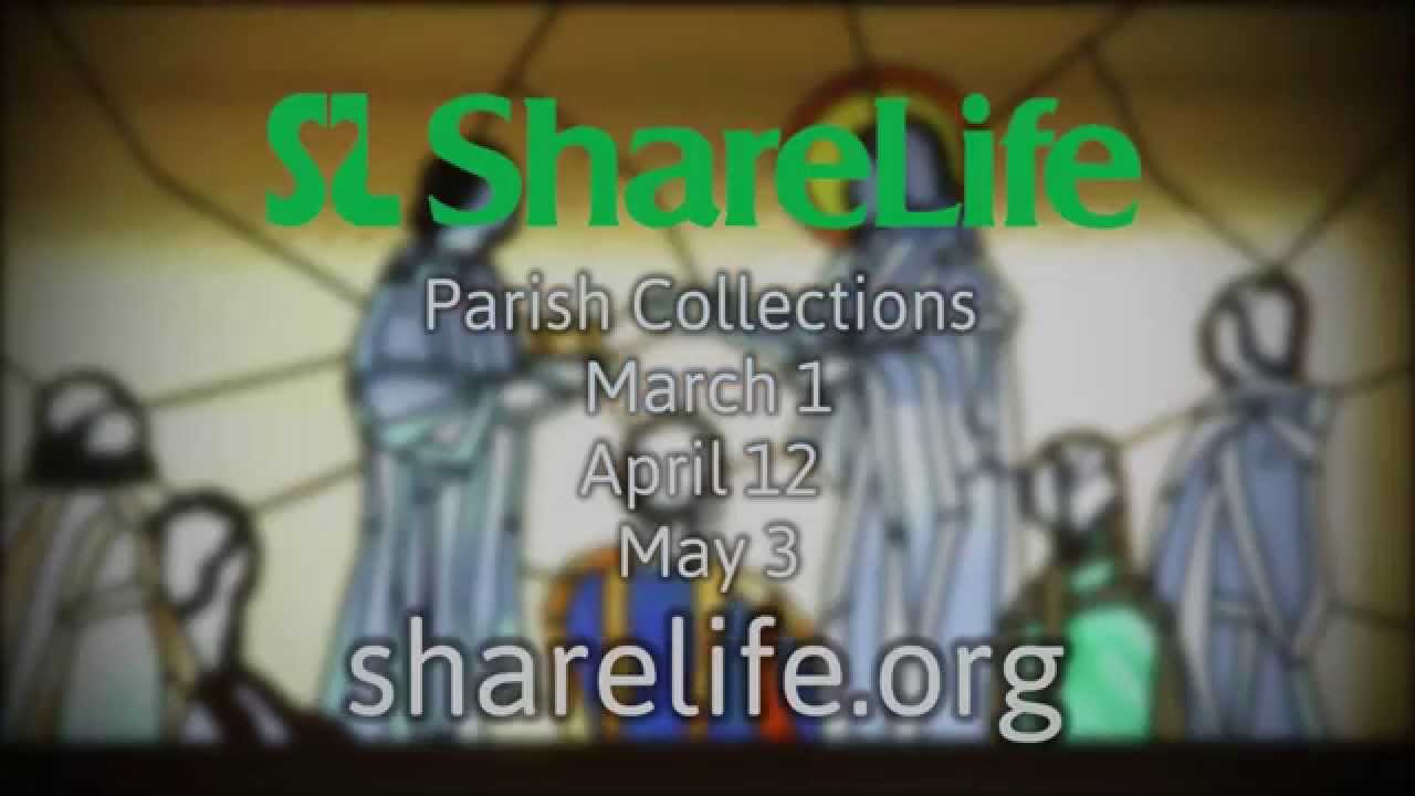 The Common Good | ShareLife 2015 Parish Campaign - YouTube