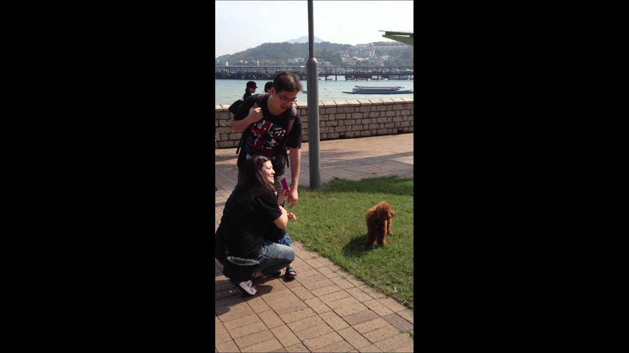 Pipi & Kid (2) - YouTube