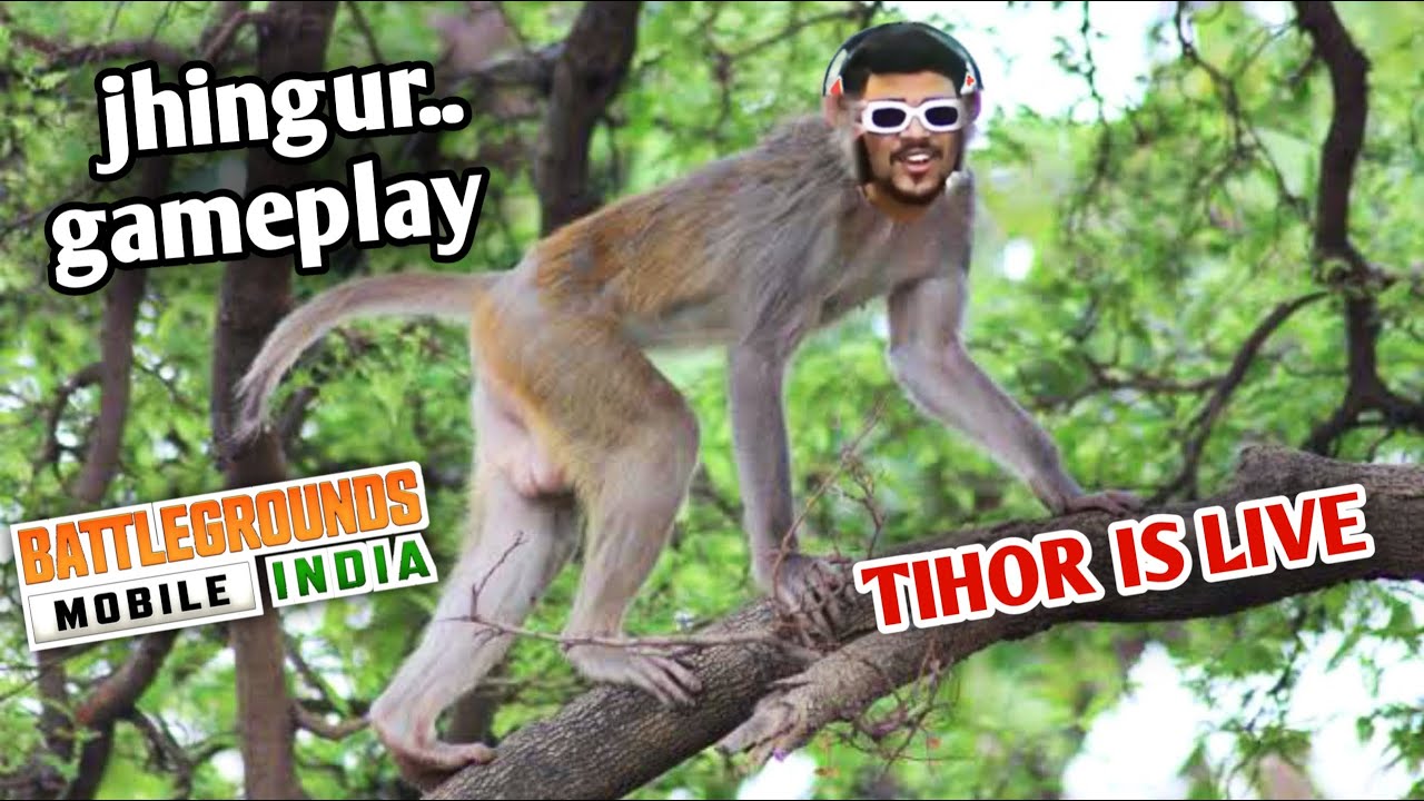 jhingur is live | TIHOR IS LIVE - YouTube