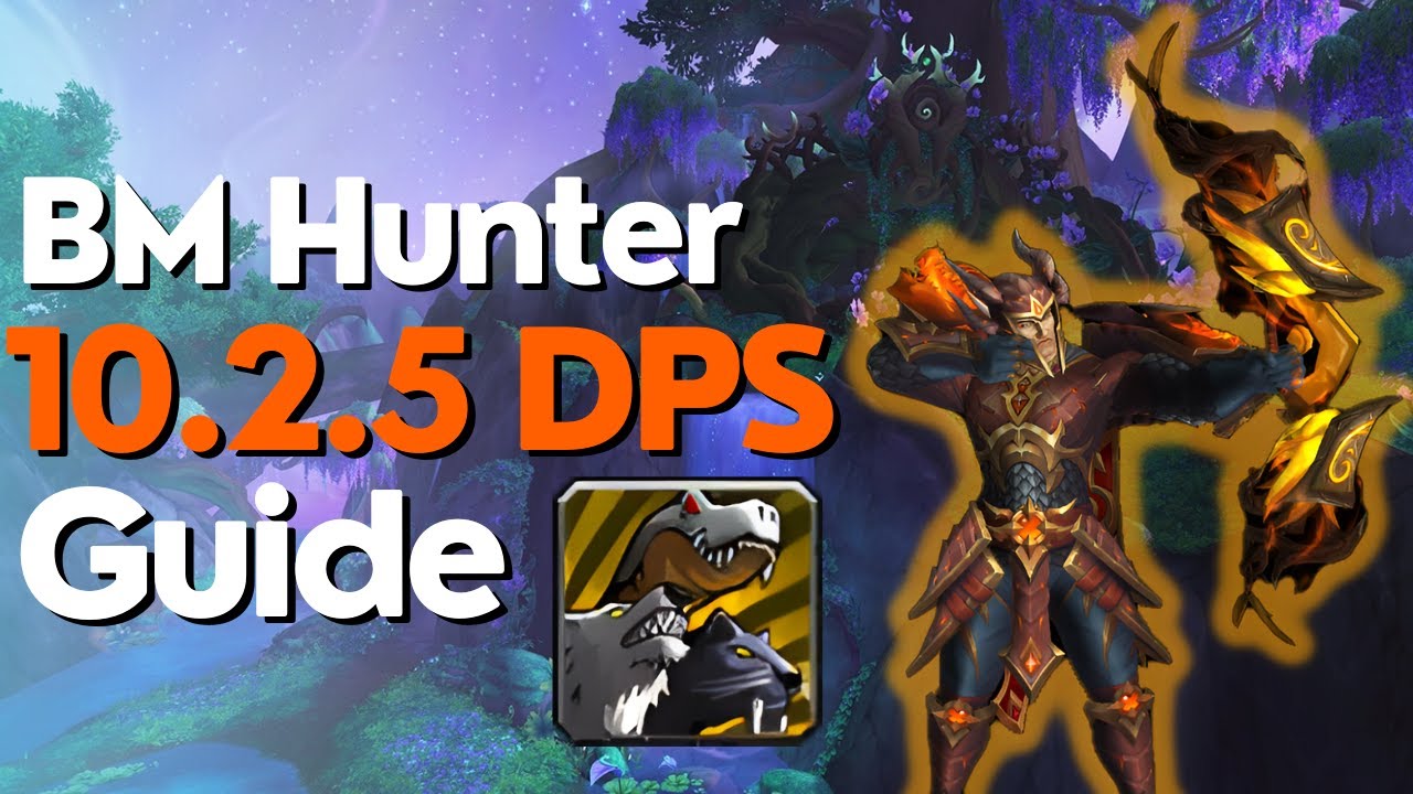 Beast Mastery / BM Hunter 10.2 - 10.2.5 Beginner Guide for Raid & M+ ...