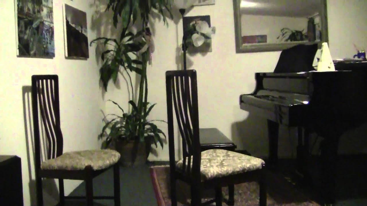 REVIEW ---*Canon VIXIA HF R11 - 32 GB Model (2010)* - YouTube