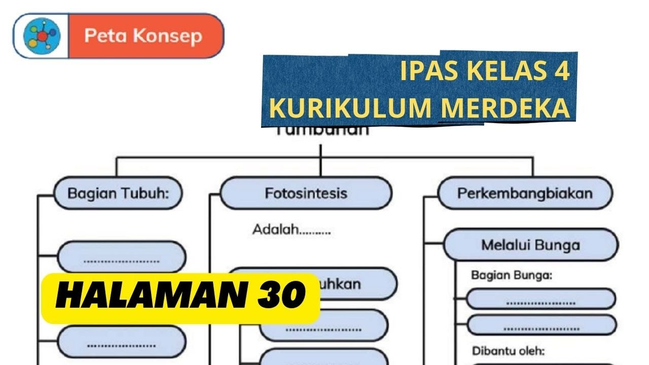 Peta Konsep Tumbuhan Fungsi Bagian Tubuh Fotosintesis Perkembangbiakan ...