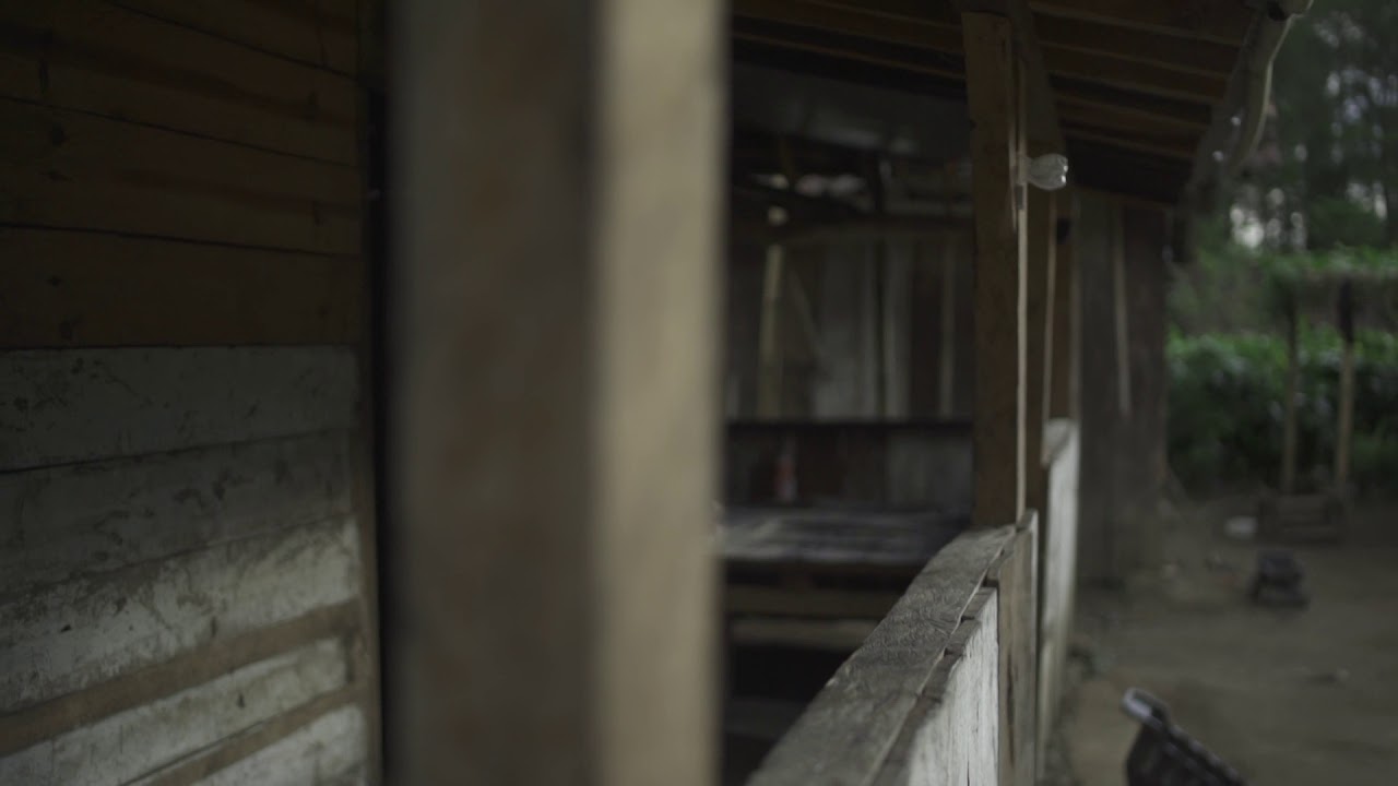 Free Footage wooden House (Rumah kayu) - YouTube