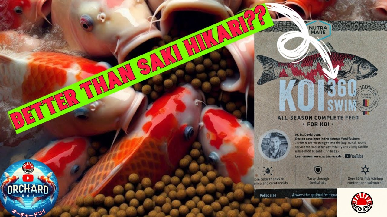 The best premium Koi Food? Nutramare 360 - YouTube