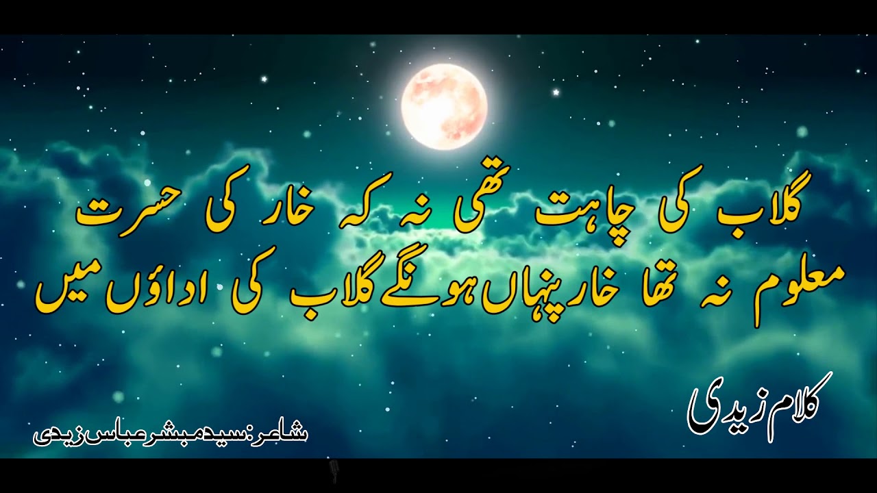 2 line sad Heart Touching Poetry / Ko Gaye Hijar / Kalam e Zaidi ...