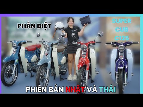 Cub 125 Thái hay Cub 125 Nhật, Có Sẵn Tại Cub Shop, Giá Khuyến Mãi ...