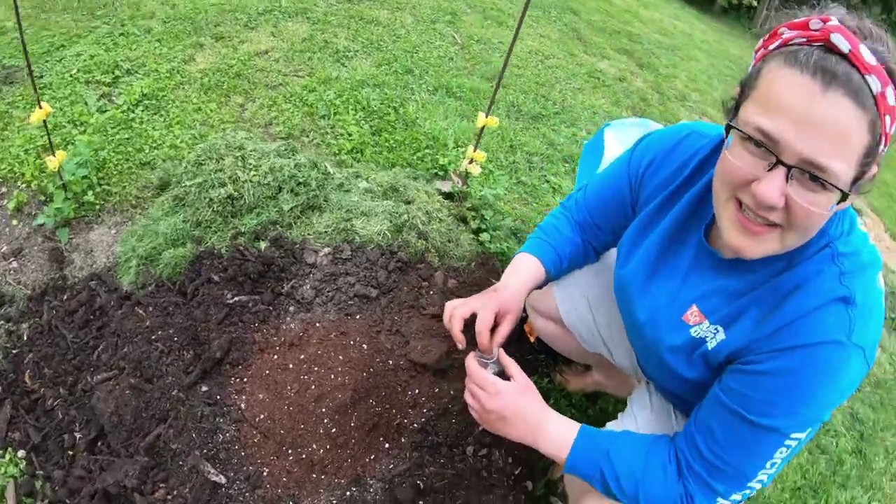 Seeds for Deep South Homestead + Crazy Dazes #FarmingOurBackyard - YouTube