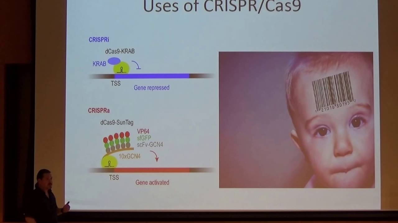 Human Gene Editing: Is it Ethical? A Public Debate - YouTube