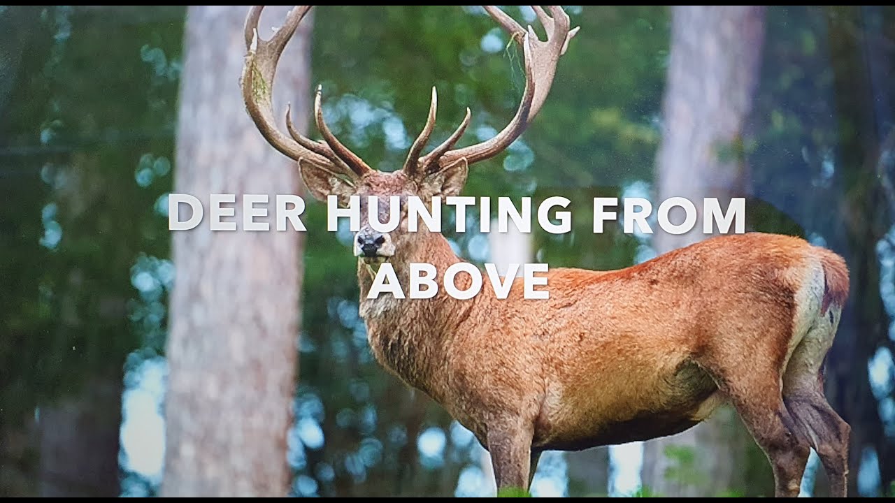 DEER HUNTING FROM ABOVE - YouTube