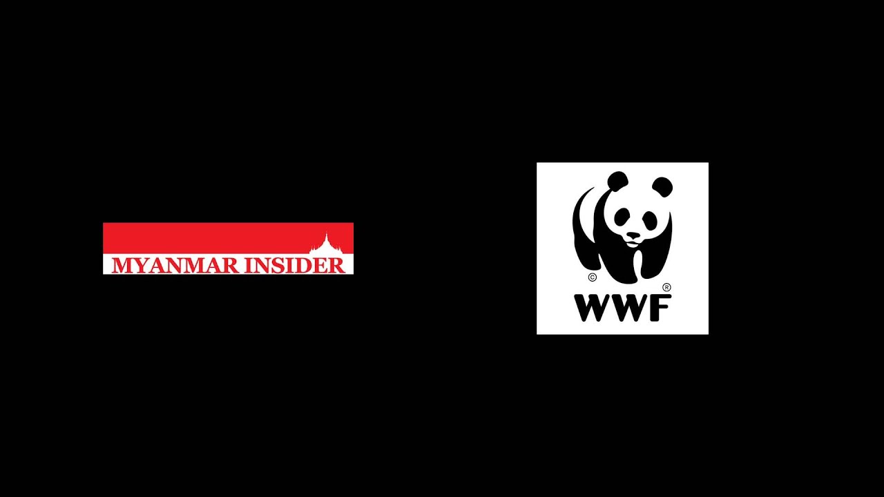 Interview with WWF Myanmar - YouTube
