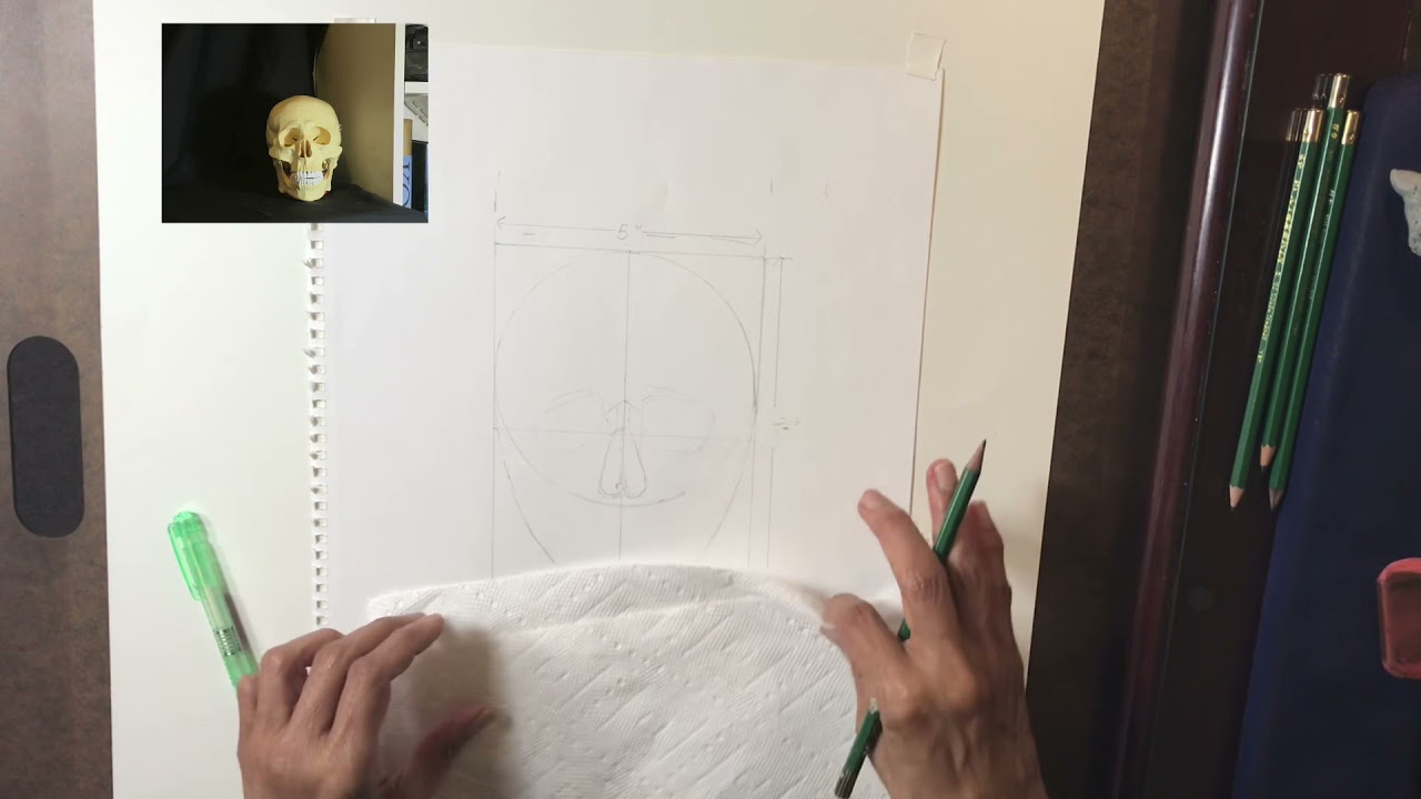 How to draw the Skull from a frontal perspective. - YouTube