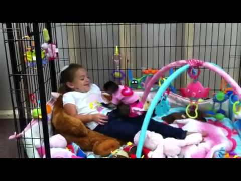 Gaitlyn Rae - YouTube