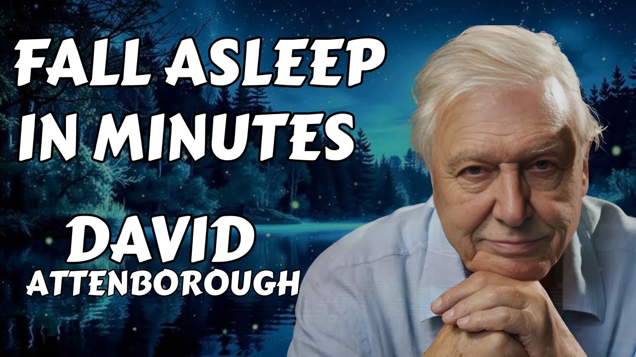 Calm Your Mind & Sleep Instantly | David Attenborough’s Sleep ...