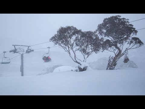 Reggae's Video Snow Report - July 16, 2015 - YouTube