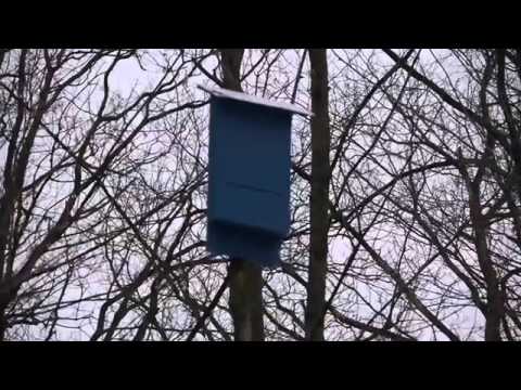 Bat House on a Pole - YouTube
