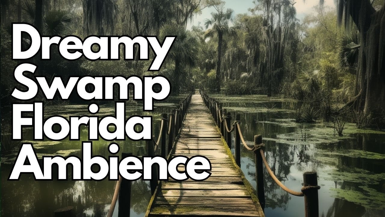 Dreamy Swamp Walk - Florida Ambience - YouTube