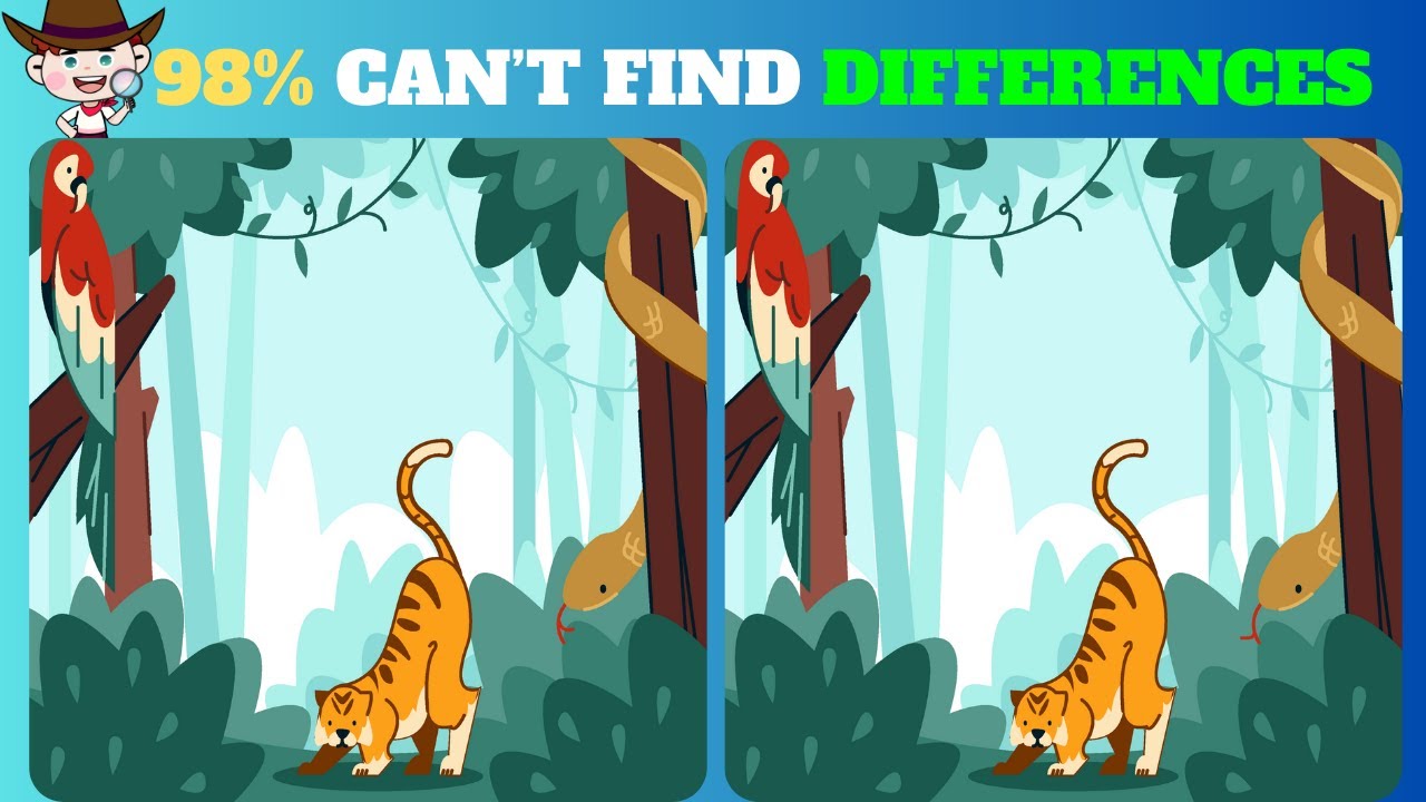 Tommy and Lily’s Funny Game Adventure | Amazon Rainforest [Find The ...