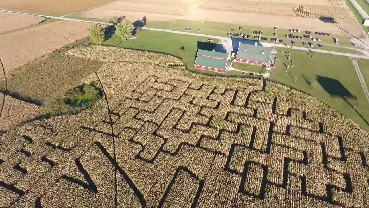 Shryock's Callaway Farms (Field Trip) - YouTube