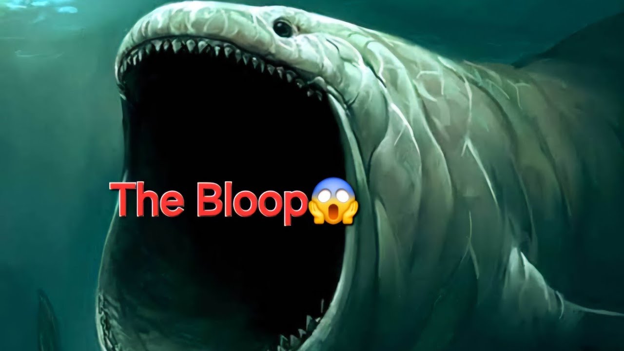 The Bloop: A Deep Ocean Horror Story - YouTube