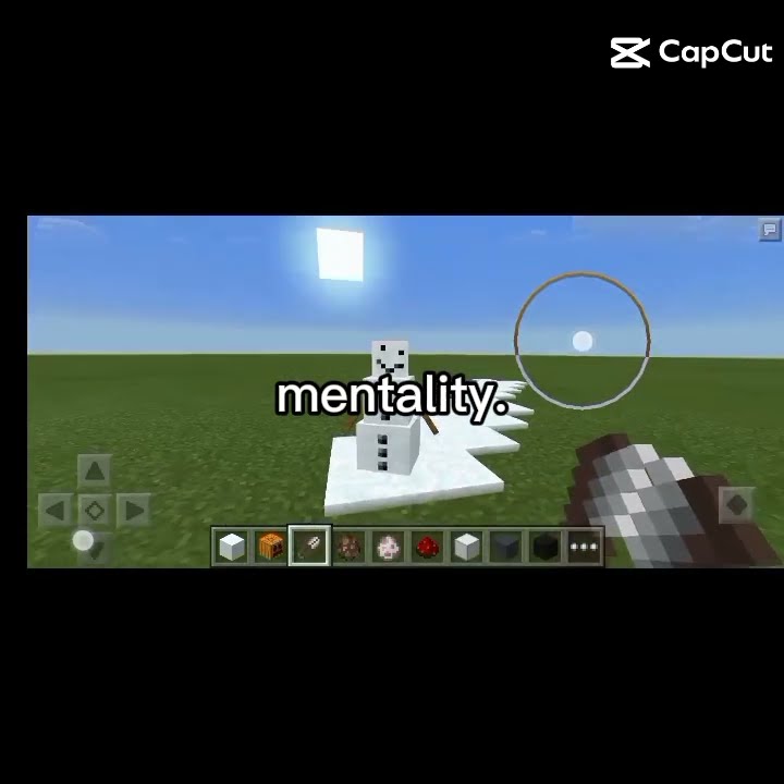 mentality in Minecraft - YouTube