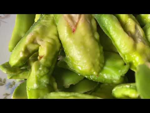 Conoce los beneficios de la semilla de paterna. - YouTube