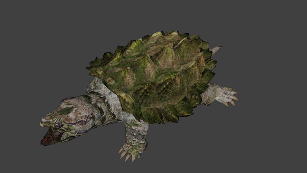 Blender Alligator snapping turtle rendered - YouTube