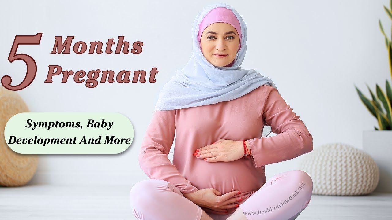 5 Months Of Pregnancy Symptoms, Belly, Baby Development - YouTube