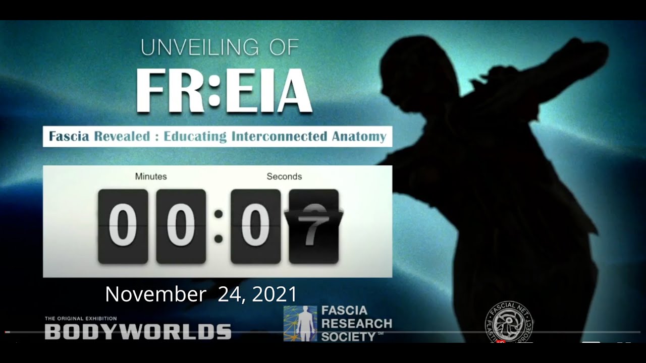 FR:EIA - Unveiling of the World’s first 3D Human Fascia Plastinate ...