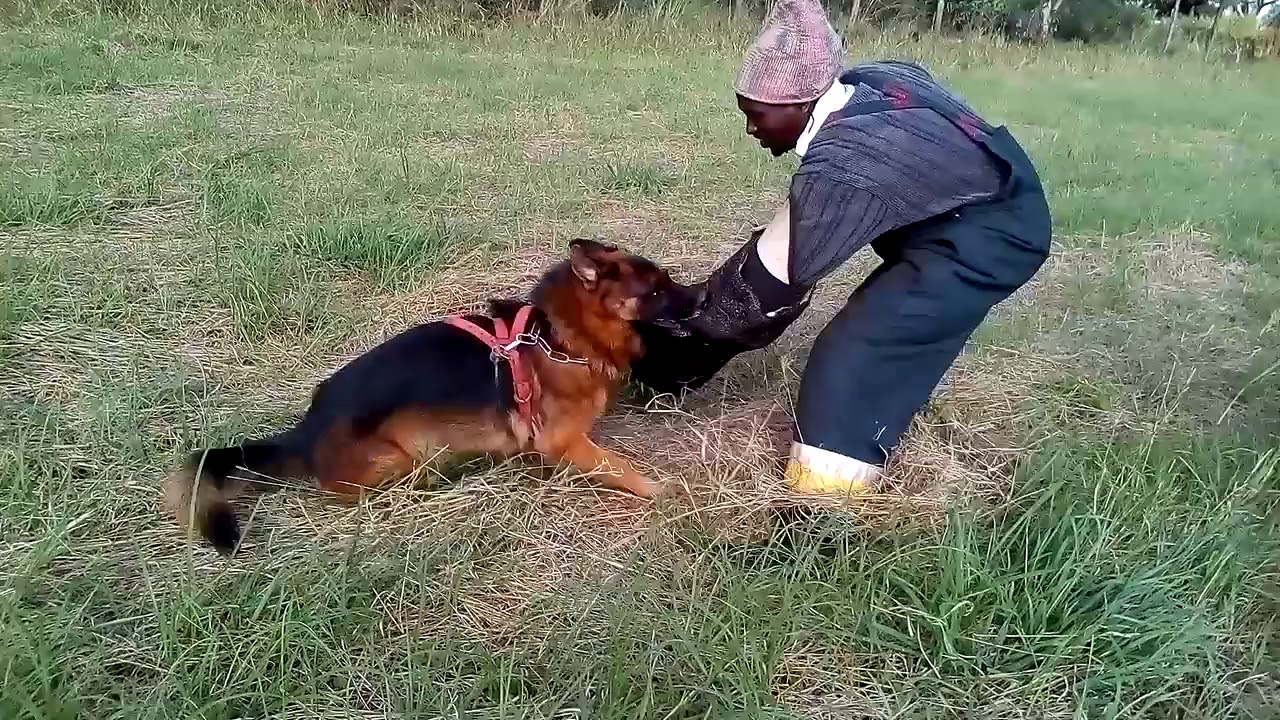 Long Distance Bite Work - YouTube