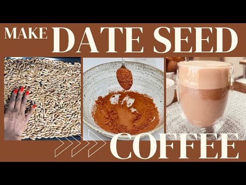 HOW TO MAKE DATE SEED COFFEE | A NATURAL & HEALTHIER REPLACEMENT FOR ...