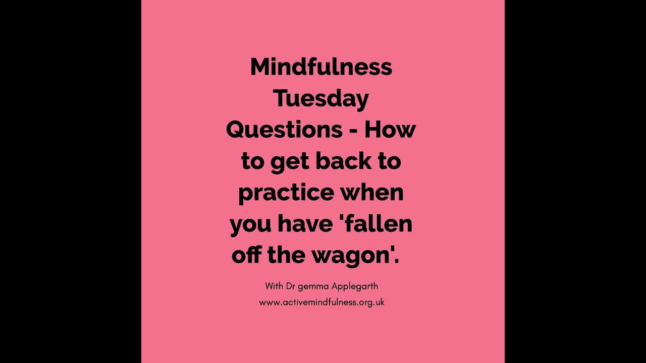 Mindfulness Tuesday Questions - How to get started again after you have ...