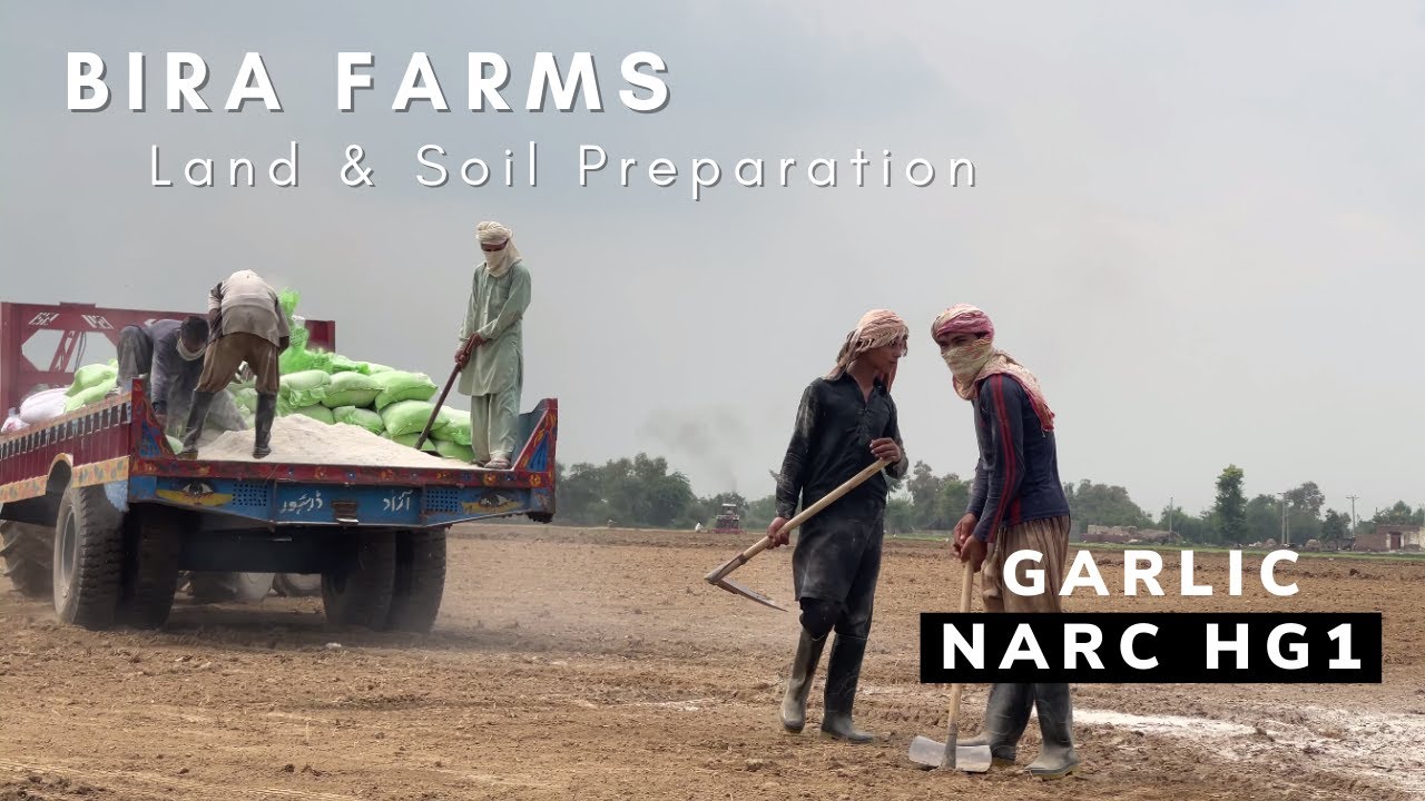 Land & Soil preparation for NARC HG1 / BIRA FARMS - YouTube